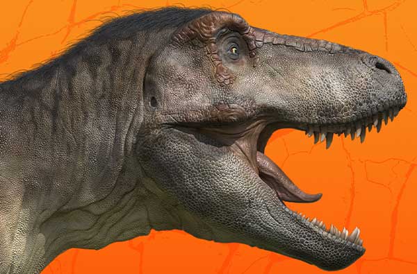 Six Extinctions exhibition | Te Whare Taonga o Waikato Museum & Gallery